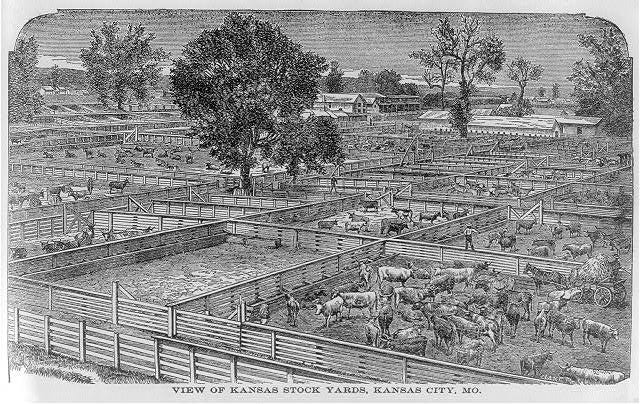 The 1871–1991 Operating Kansas City Stockyards Built a Legacy | by ...