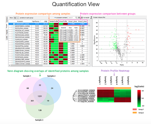 Your top 3 MS-based proteomics analysis tools | by Helene Perrin | Medium