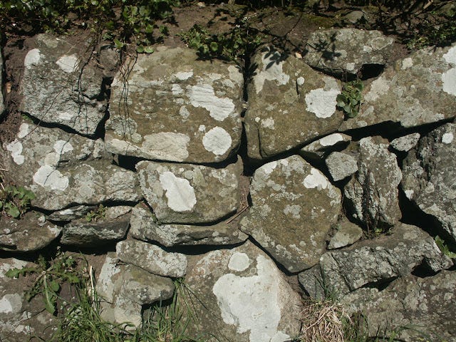 Stone Walls Of Pembrokeshire - Laurie Manton - Medium