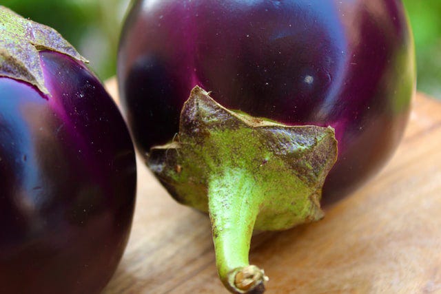 Purple Possums - iPoetry - Medium