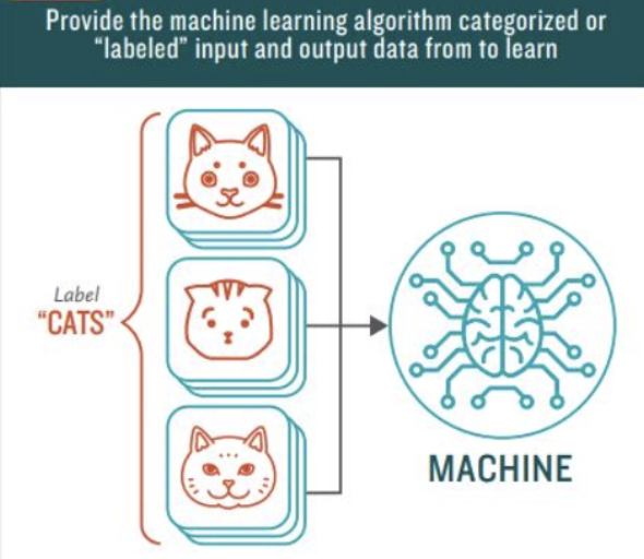 A BRIEF INTRODUCTION TO MACHINE LEARNING | by Paddyrolex | Medium