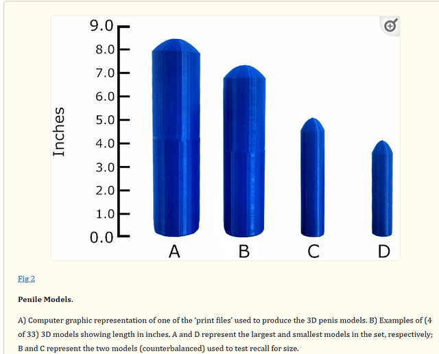 A Study Reveals The Penis Size Women Actually Prefer | by Peter White ...