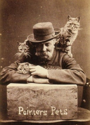 The Very First Cat Memes in the Victorian Era | by Amy Colleen | The ...
