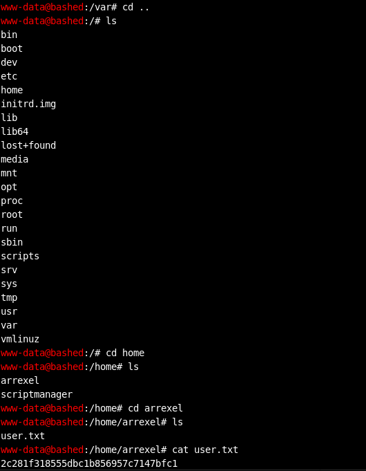 HackTheBox — Bashed Walkthrough. Welcome back to another Hack The Box ...