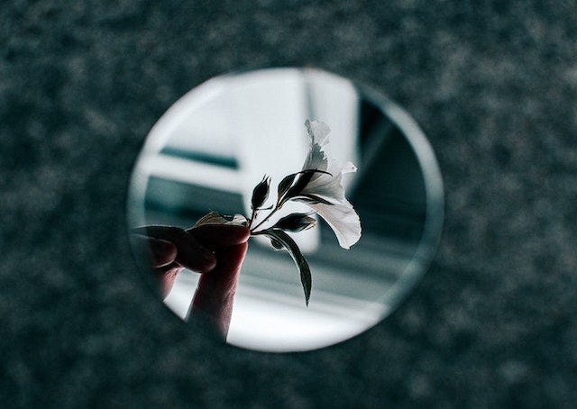 It s Not About You When Someone Criticises You By Yumiko Piotrowska it-s-not-about-you-when-someone-criticises-you-by-yumiko-piotrowska