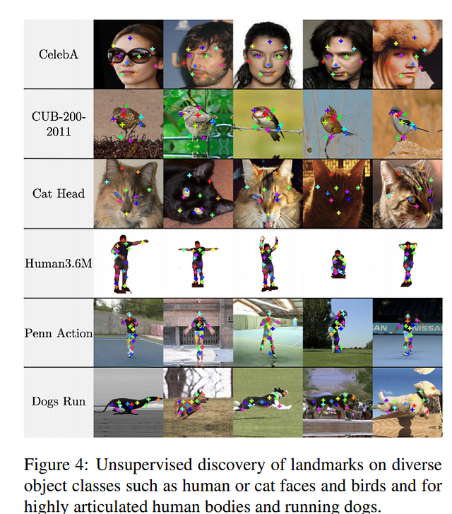 Unsupervised Part-Based Disentangling of Object Shape and Appearance | by Jae Duk Seo | Medium