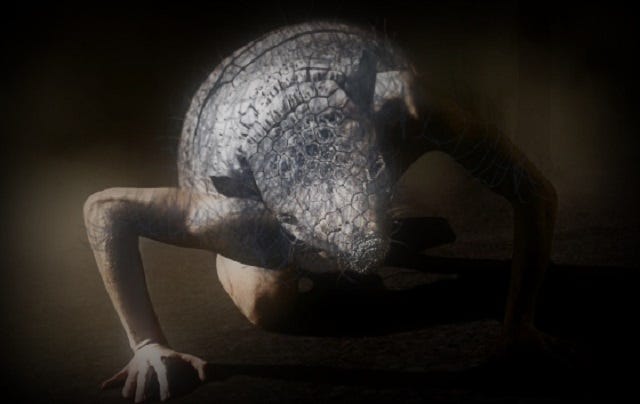 Armadillo Headed Humanoid Seen In Alabama | by Terry Larch | freaklore ...