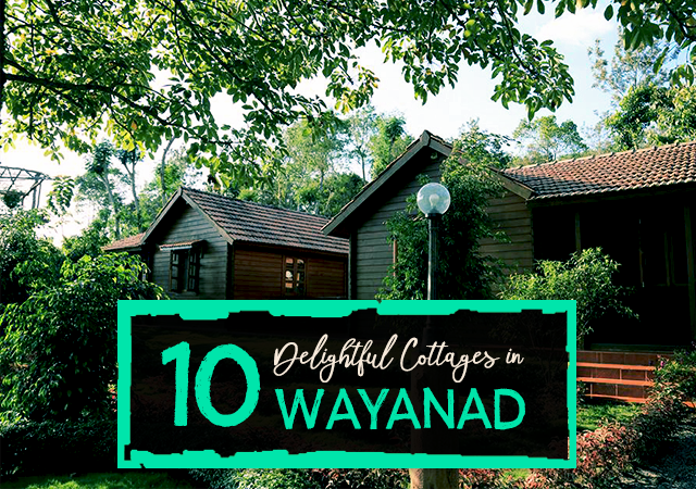 10 Delightful Cottages in Wayanad | by Paradise Holidays | Medium