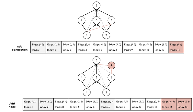 The effective encoding of neural networks in the NEAT algorithm | by ...