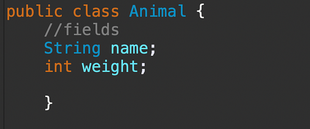 The Basics of Classes and Objects in Java | by Alejandra Landa | Medium