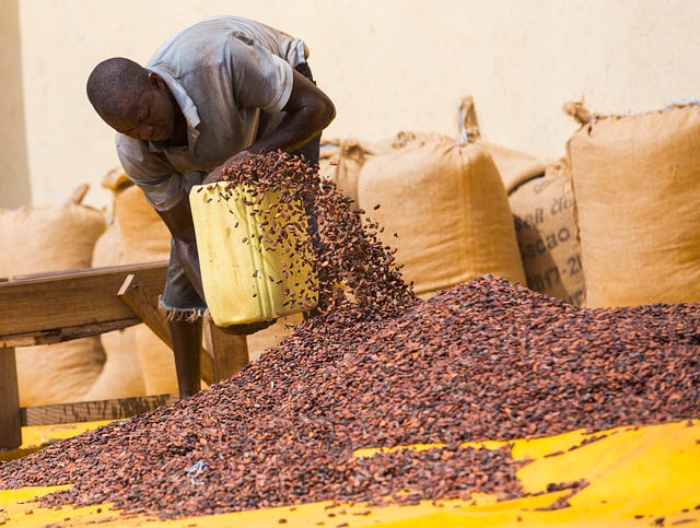 Paving the Way for Premium-Quality Chocolate Production in Cote d ...