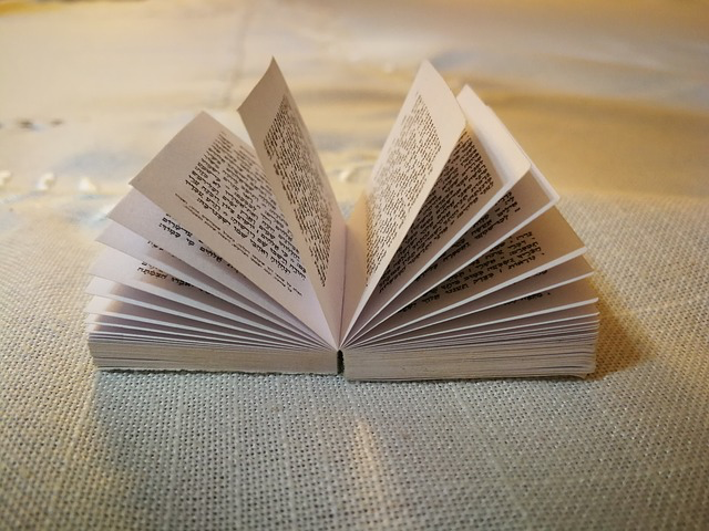 Zohar: Annotated & Explained, Translation & Annotation by Daniel C. Matt | by Jackie Ann ...