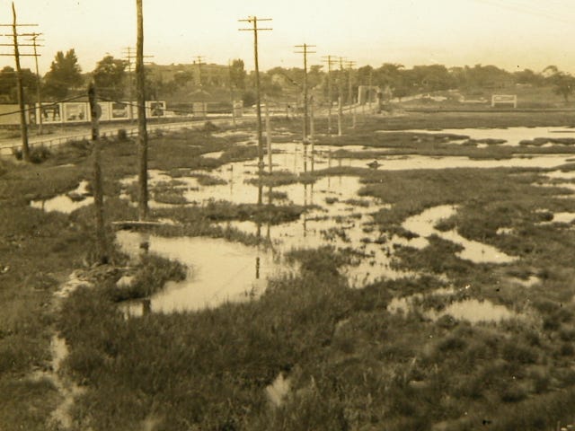 Building Great Marsh resiliency from the bottom-up | by U.S. Fish ...