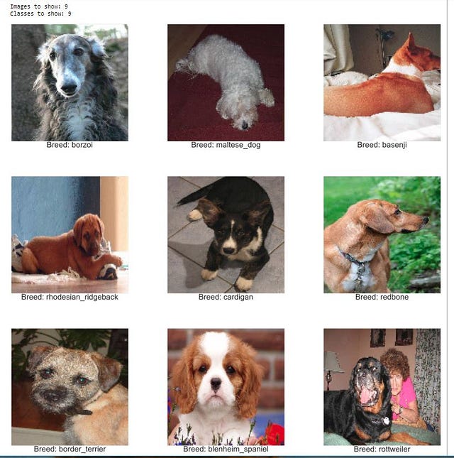 Dog Breeds Prediction with Keras. - Using Transfer Learning Approach ...