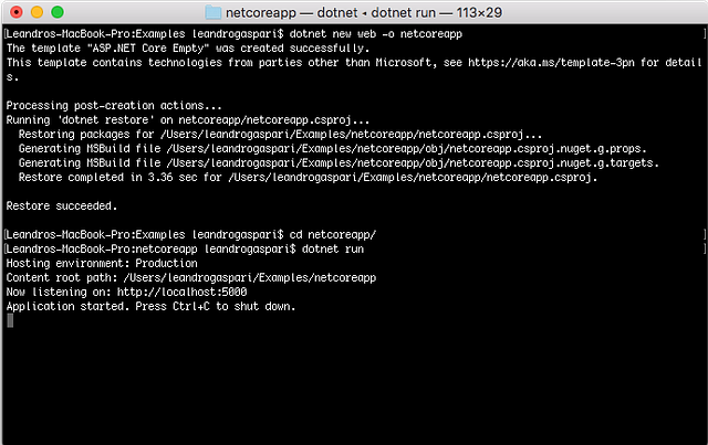 Step By Step Creating A Net Core Application Using A Docker Container