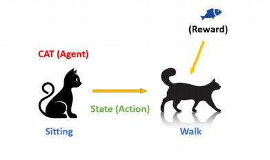 A BRIEF INTRODUCTION TO MACHINE LEARNING | by Paddyrolex | Medium