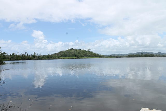 Things To Do in Humacao. The eastern coast of Puerto Rico has… | by ...