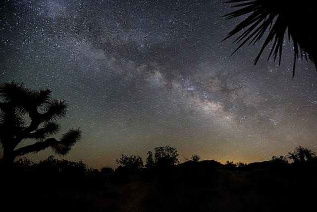 Night Walk. The others at the camp are doing the… | by Jason Lee ...