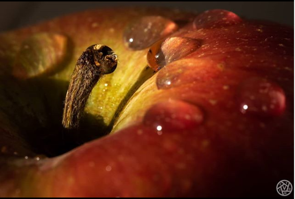 Photography Composition Tips to Make Your Photos Look Better | by ...