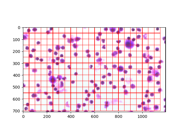 Sliding Windows For Object Detection With Python By Muskulpesent Medium 5648