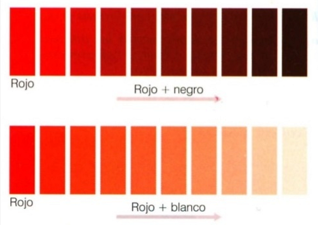 Relatividad del color. Propiedades del color | by Micaela Ravenna | Medium