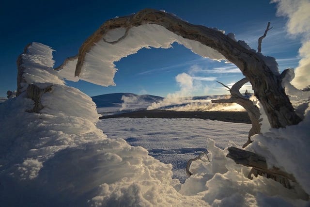 Twilight of a Yellowstone ‘winterkeeper’ in the age of climate change ...