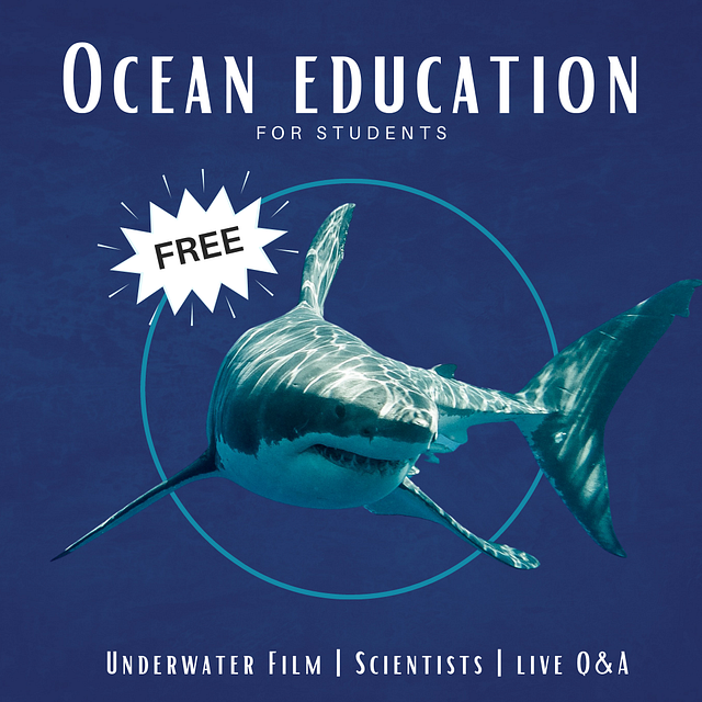 Deep-Sea, Inland Students and Storytelling. | by Neely Evanoff | Medium