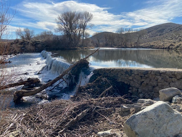 Hiking From the Carson River Park to the Mexican Dam | by Kim Zuch ...