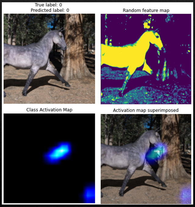 Deep Learning Model Explainability with Grad-CAM | by Mohana Roy ...