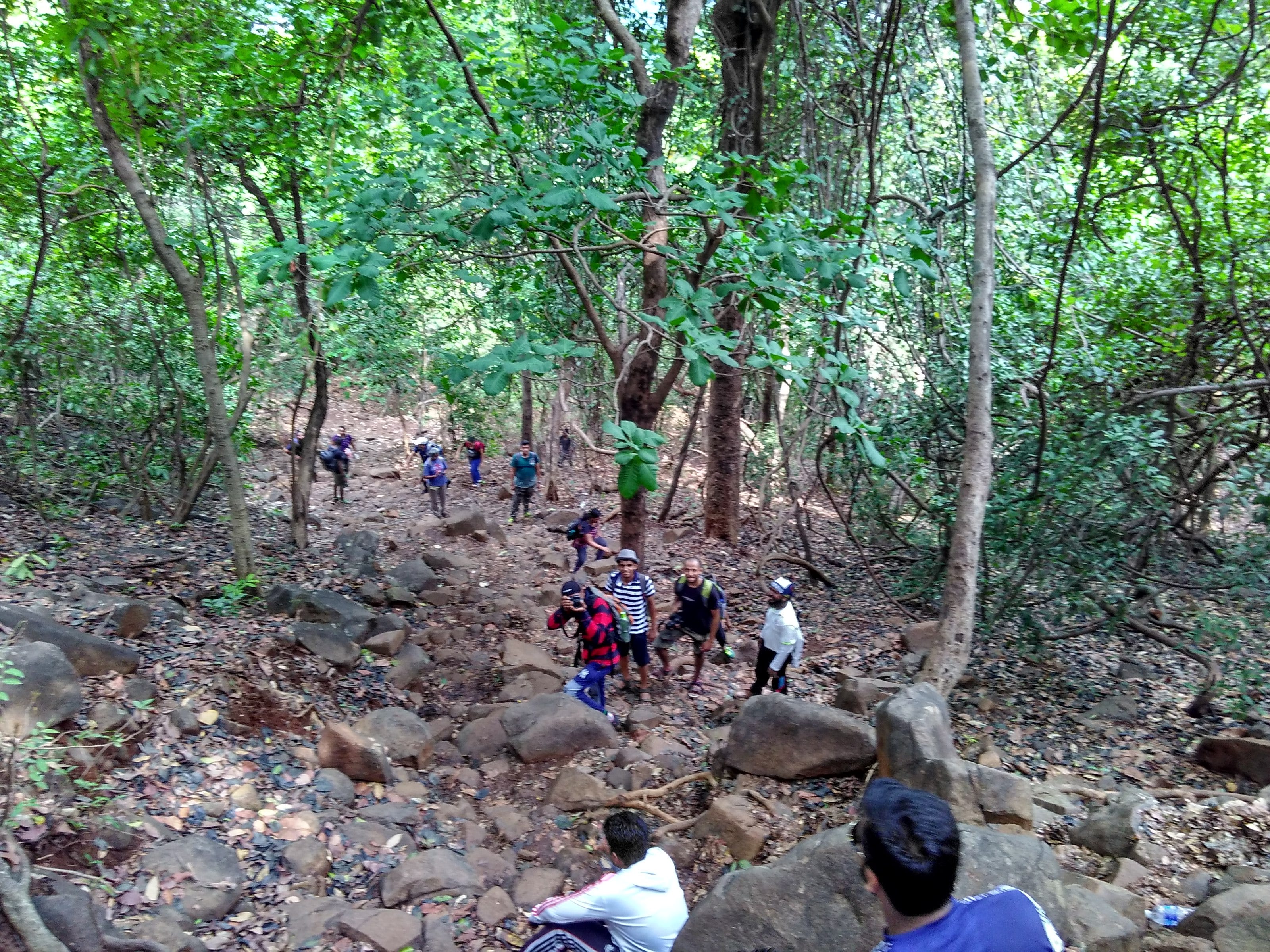 Karnala Fort Trek. Location : Karnala Bird Sanctury… | by Oh!nestly ...