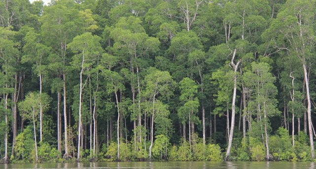 Leif Kindberg, U.S.. Our Environment and Natural Resources… | by Tetra ... Leif Kindberg, U.S.. Our Environment and Natural Resources… | by Tetra ...