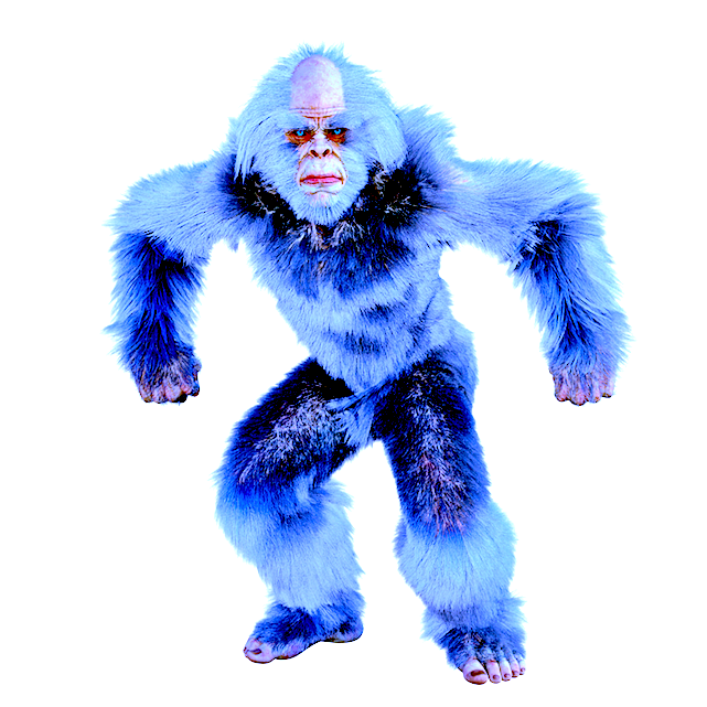 Okay, So You Finally Found Bigfoot. NOW what? | by Russ Cooper | Medium