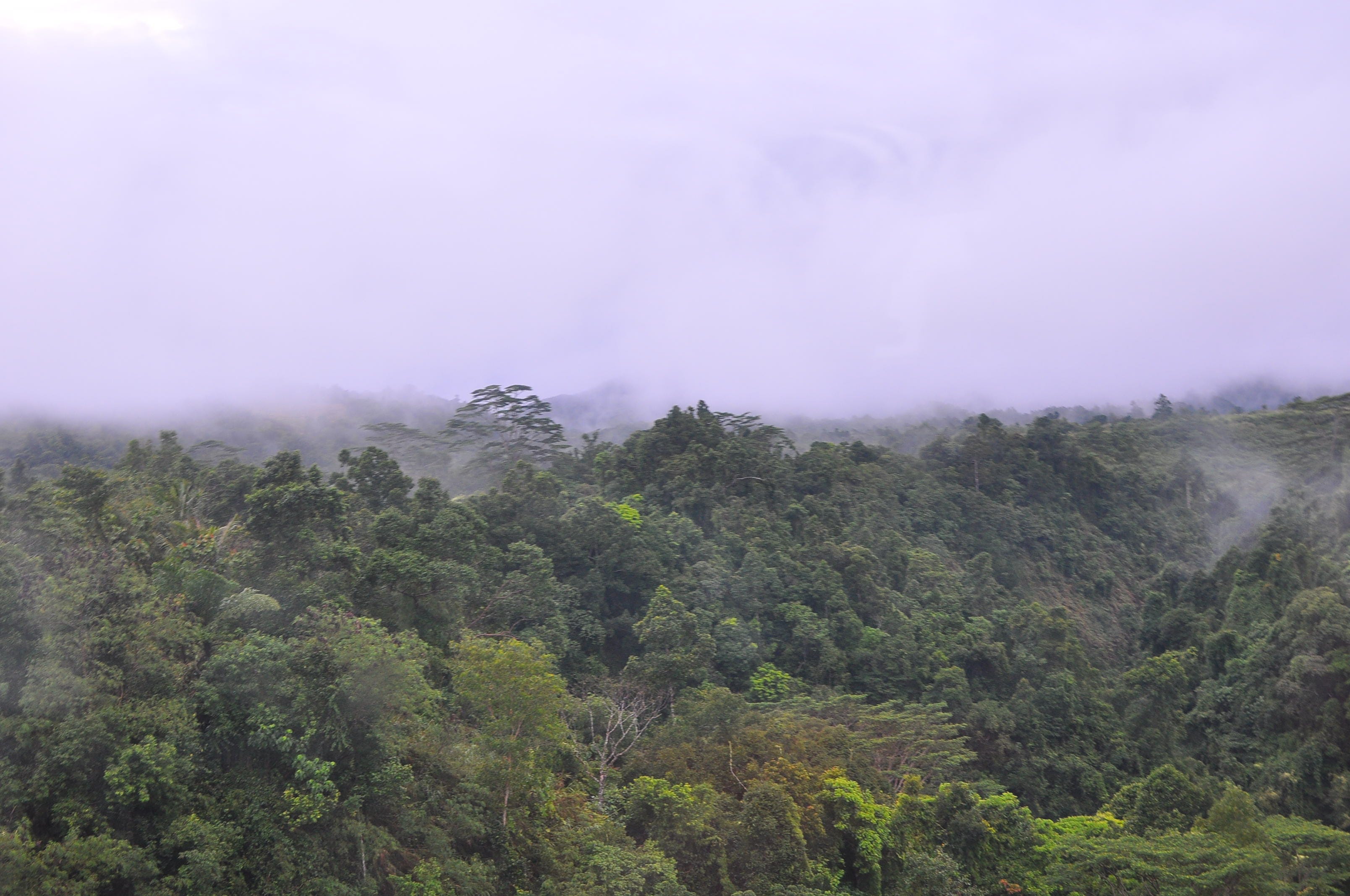 REMOTE BEAUTY — Aurora Province, Philippines | by Meifei Tang | Medium