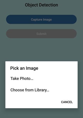 Object Detection in React Native App using TensorFlow.js | by Engineering@ZenOfAI | ZenOf.AI ...