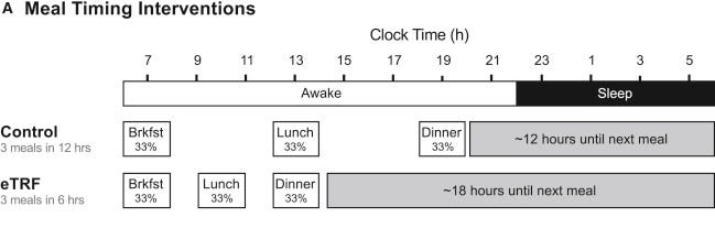 Timing matters: early time-restricted feeding (6h) improves insulin ...