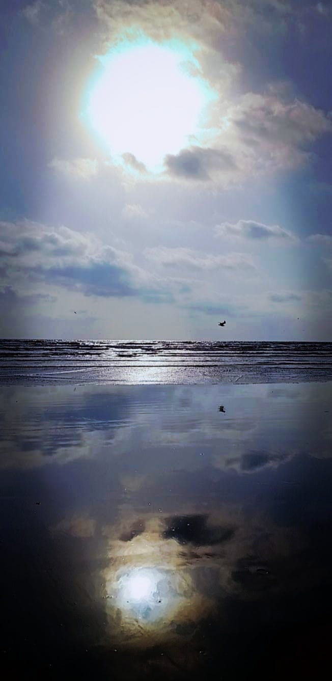Me to my Inner Bird!. This is the story of a bird that wants… | by Mah ...