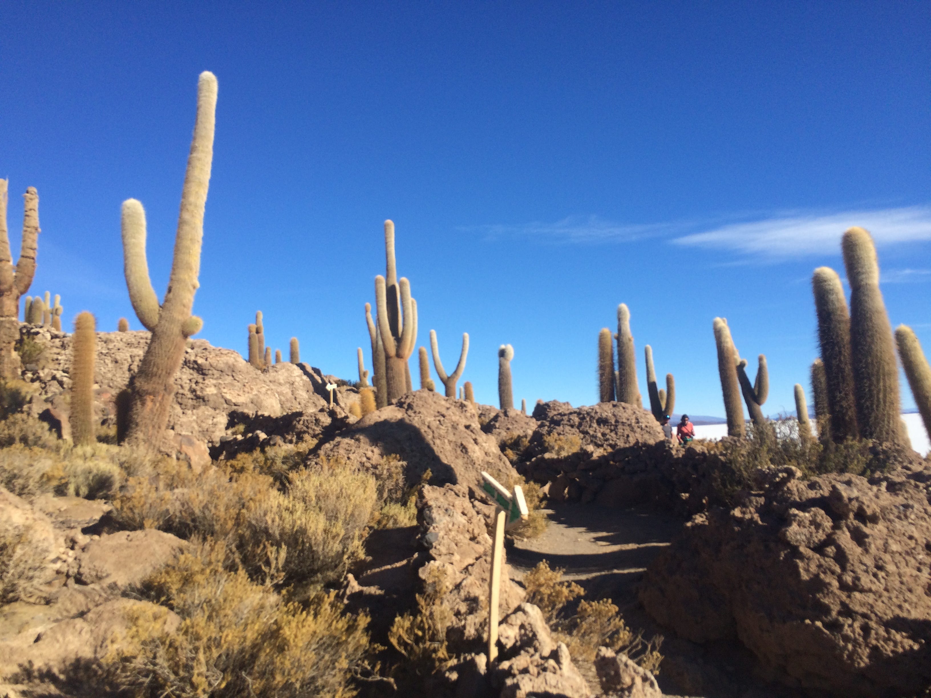 Salar de Uyuni. I’m not sure how to really describe… | by Nick Kikuchi ...