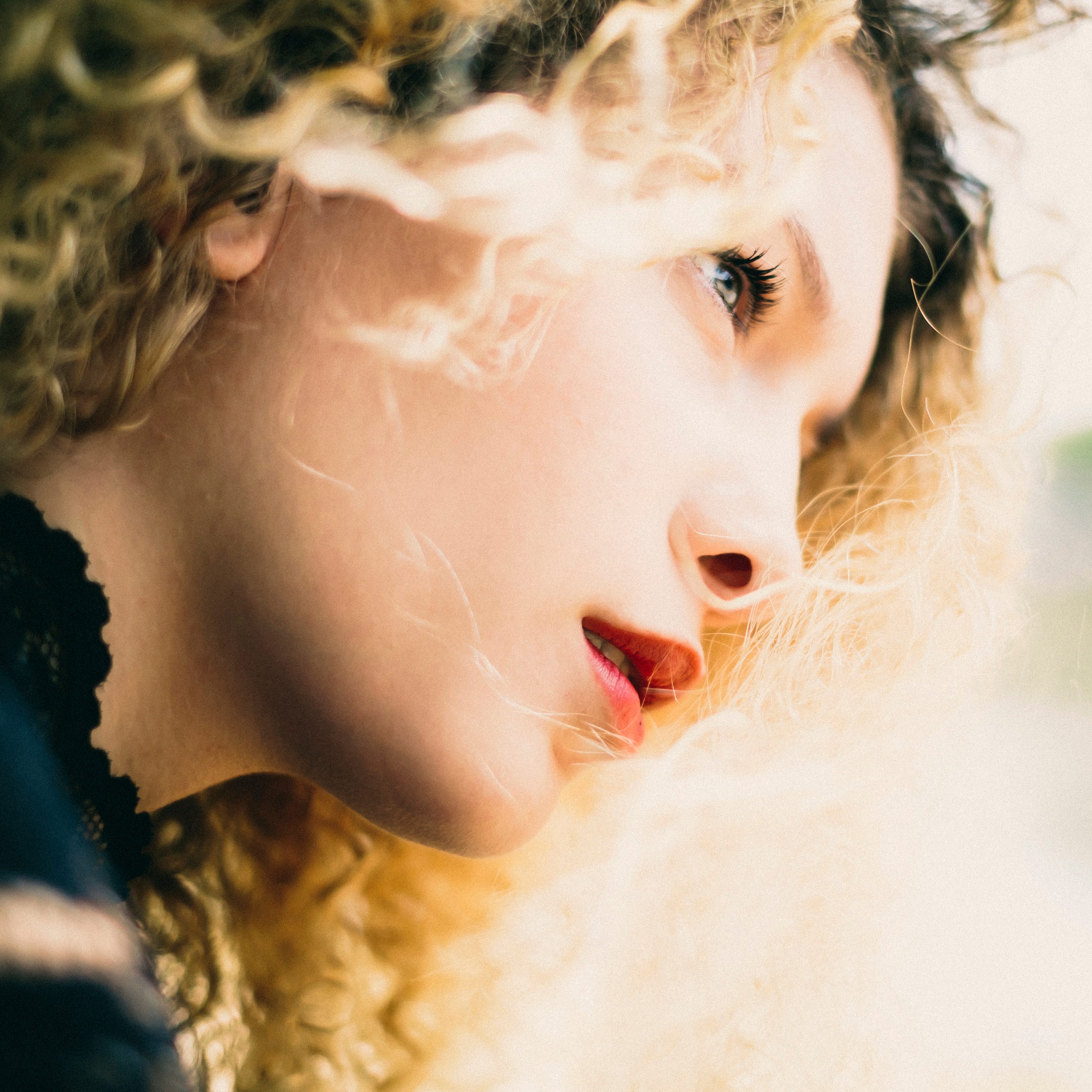 A moment with Ms Jade. Angers, l’oiseau s’est posé… | by dAdU phOEnIx ...