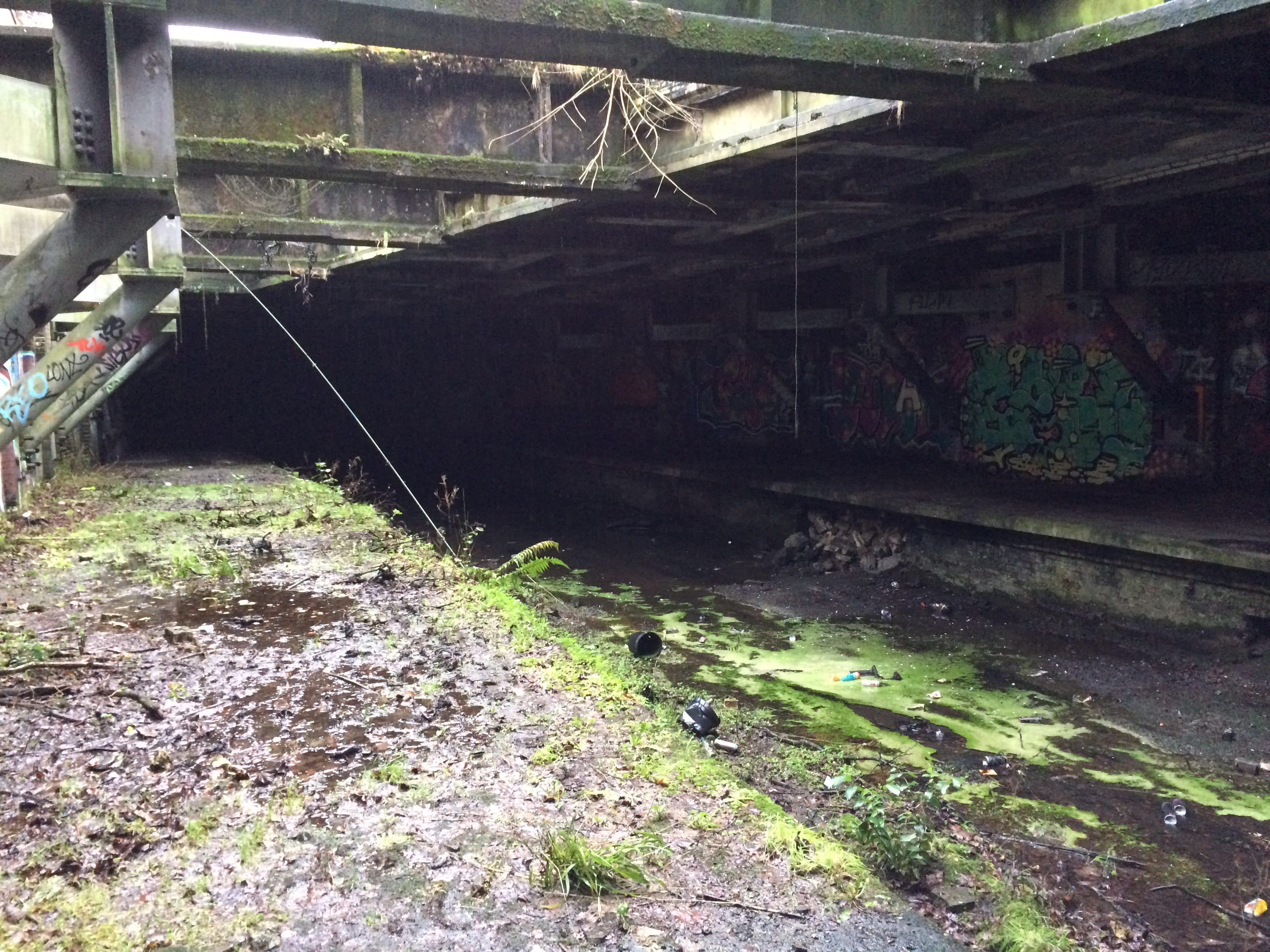 Botanic Gardens railway station. The Botanic Gardens railway station is ...