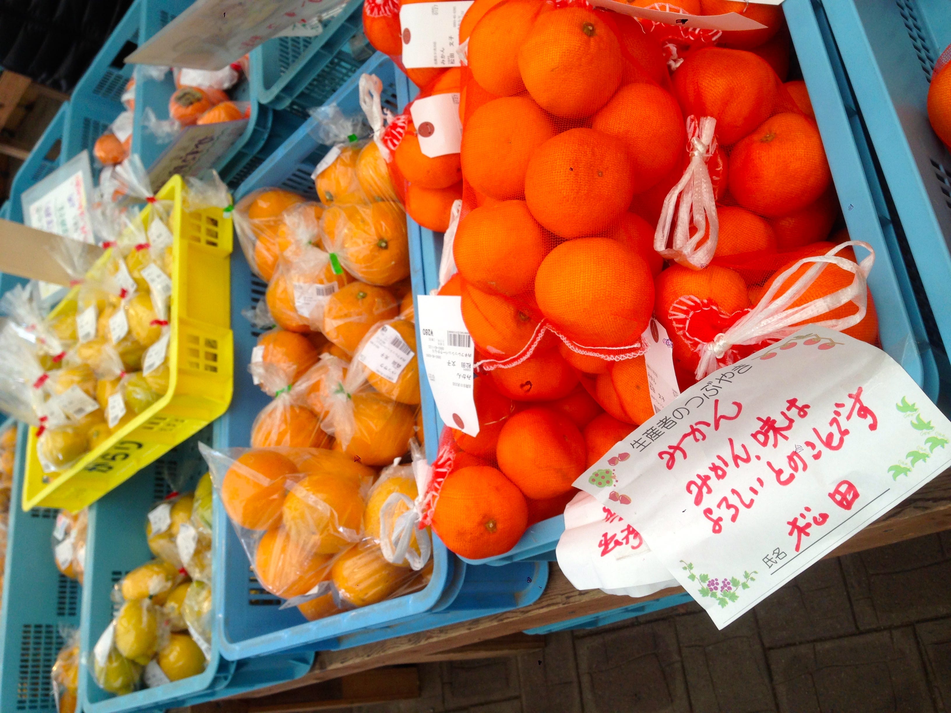 Ehime- Citrus paradise. date: Feb. 7. 2015 climate: 10℃ | by Hiroshi ...