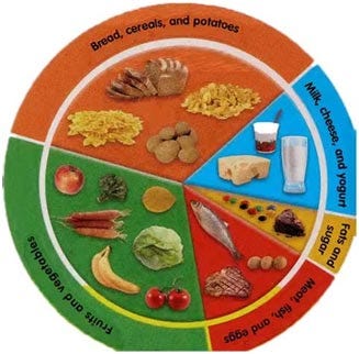 Healthy eating tips for children and teenagers | by Toddler Snack | Medium