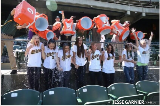 A peek inside the lives of baseball ‘WAGs’ | by Cierra Webb | Medium