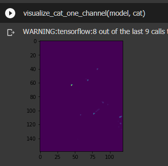 Visualizing Kernels and Feature Maps in Deep Learning Model (CNN) | by ...