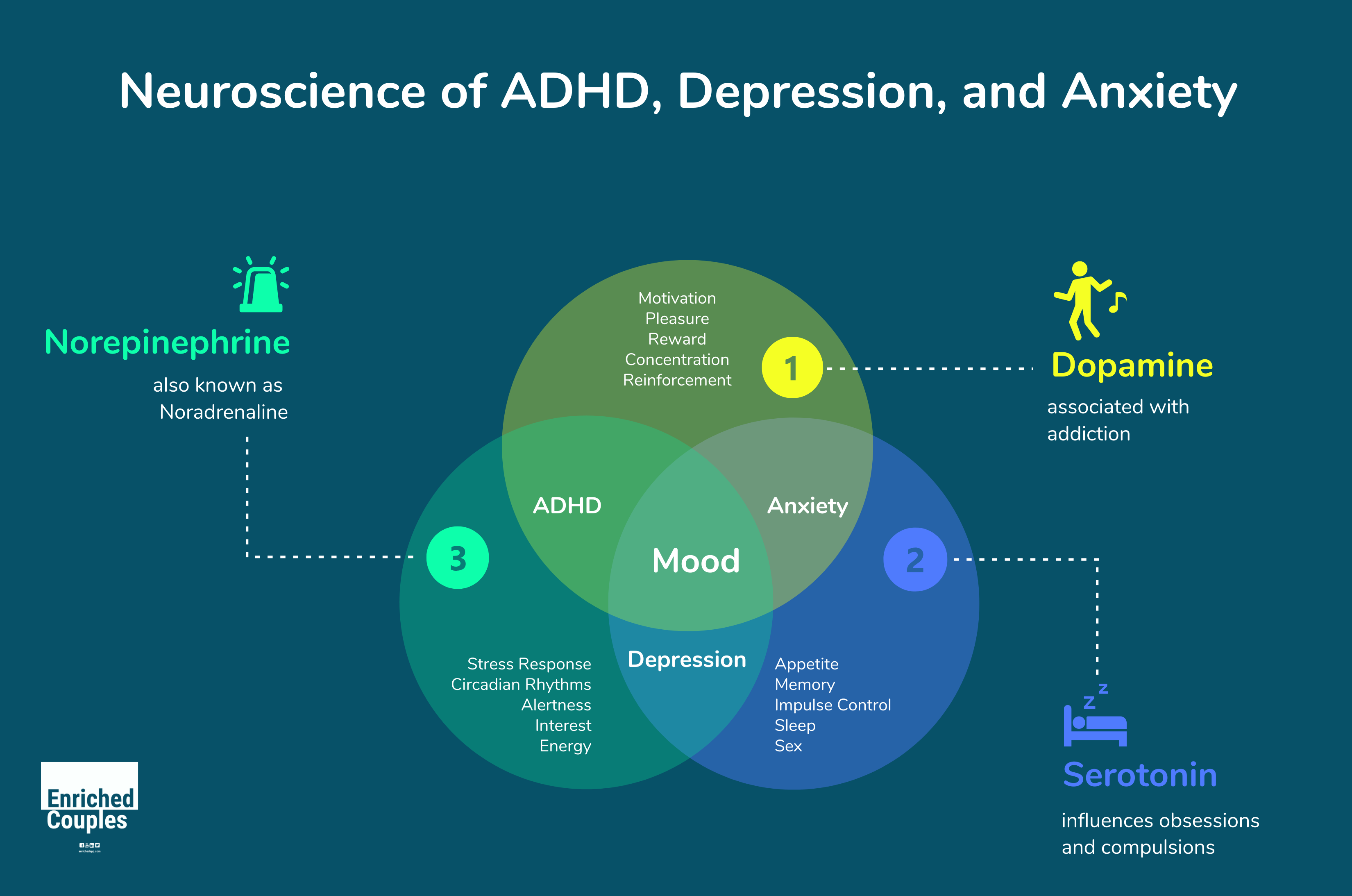 Why Are Stimulants Used to Treat Hyperactivity? | Enriched Couples
