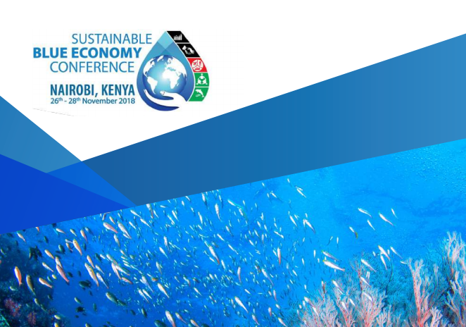 Here’s why the Sustainable Blue Economy Conference is so important | by ...