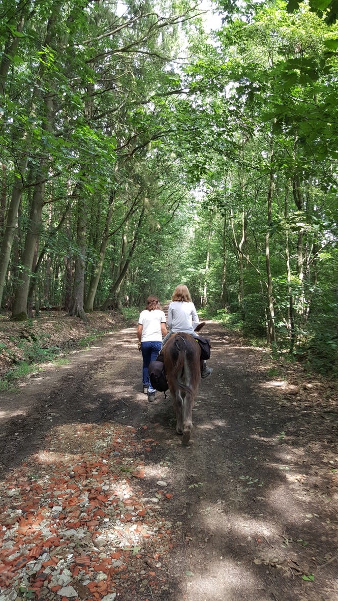 Do you pass the donkey test?. “…she is a typical herd animal and will ...