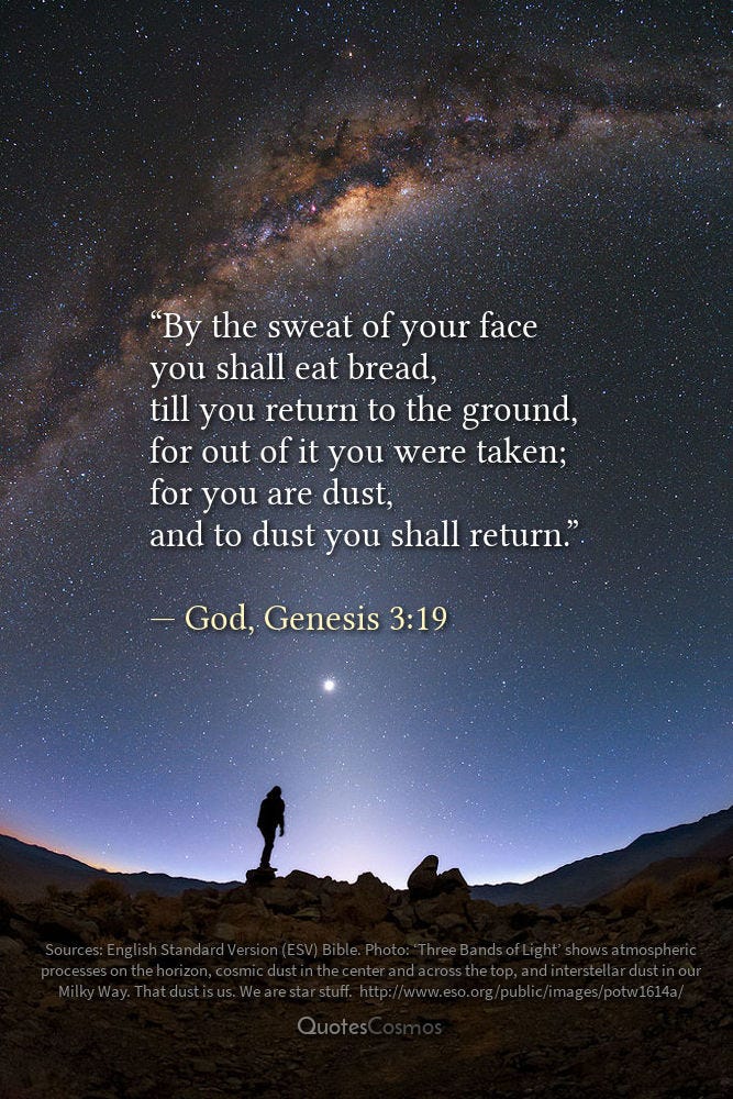 “By the sweat of your face you shall eat bread, till you return to the ...
