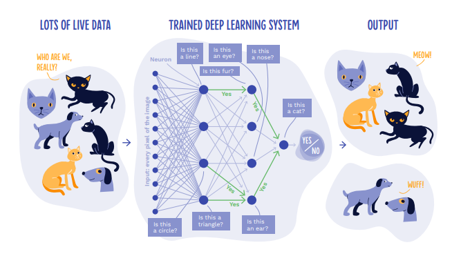 Whitepaper: The Simple Guide to Deeplearning. | by Iskender Dirik | Medium