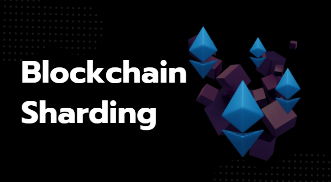Understanding The Definition Of Blockchain Sharding By Jyotirmoy Roy Oct 2022 Medium