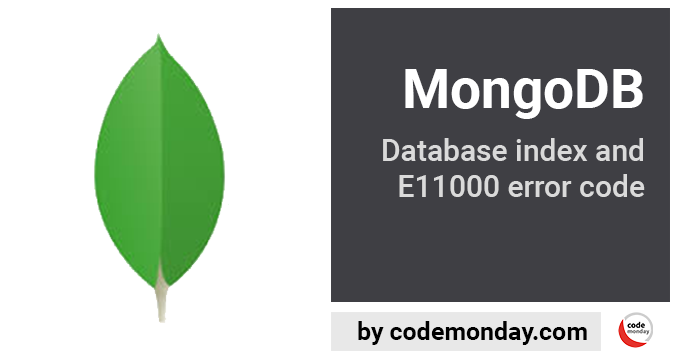 MongoDB: database key and E11000 debugging | by tanut aran | codemonday | Medium